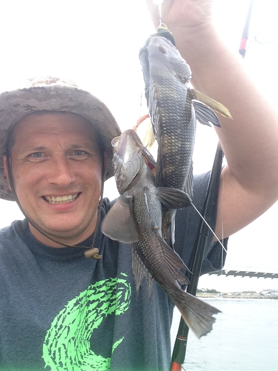 William “Bill” King - Spicer-Mullikin Funeral Homes & Crematory